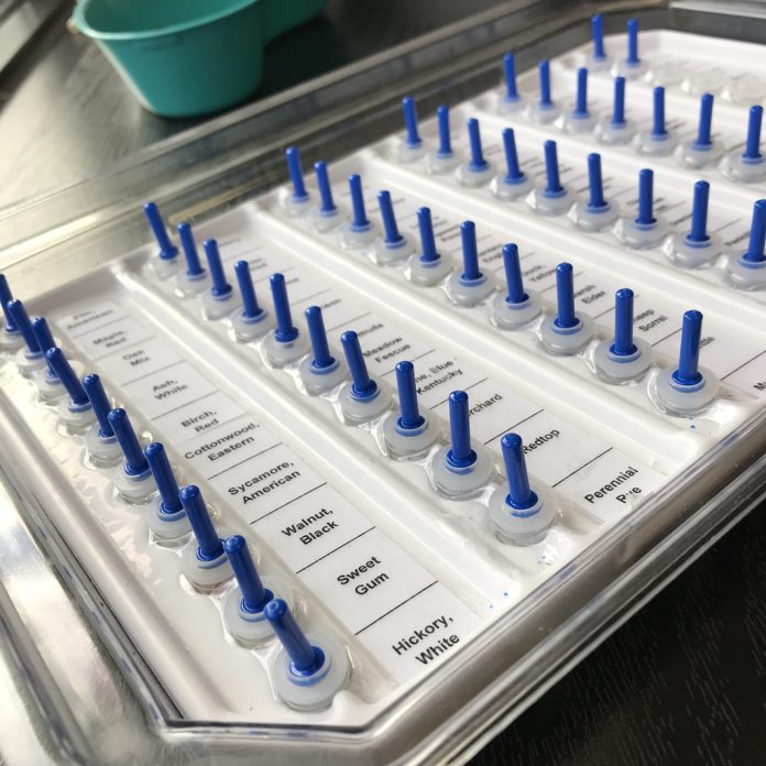 Testy skórne alergologiczne – bezpieczna droga do rozpoznania uczuleń ...